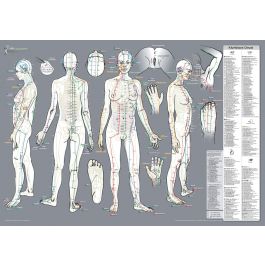 No | Mappa dei Meridiani cinesi | Acquista online